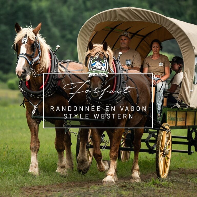 Vacances dans un ranch | la vraie vie d'un cow-boy